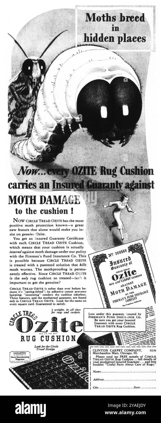 Vintage illustrations of insects Cut Out Stock Images & Pictures - Alamy