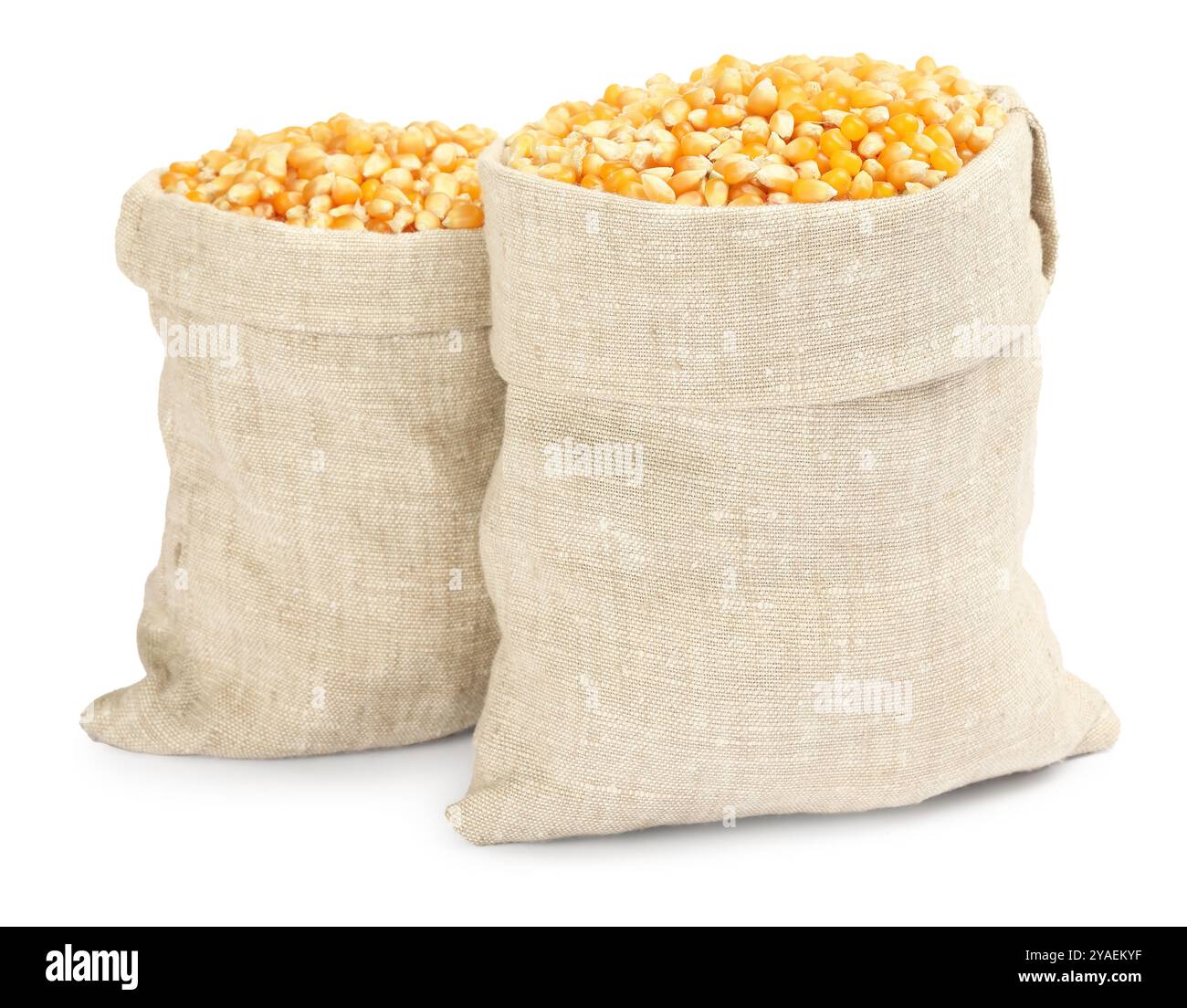 Fresh corn kernels in burlap sacks isolated on white Stock Photo - Alamy