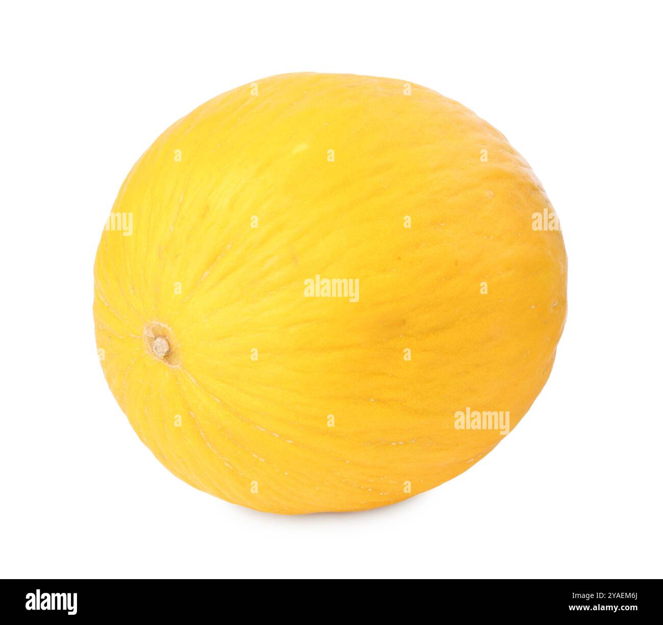 One whole ripe melon isolated on white Stock Photo - Alamy