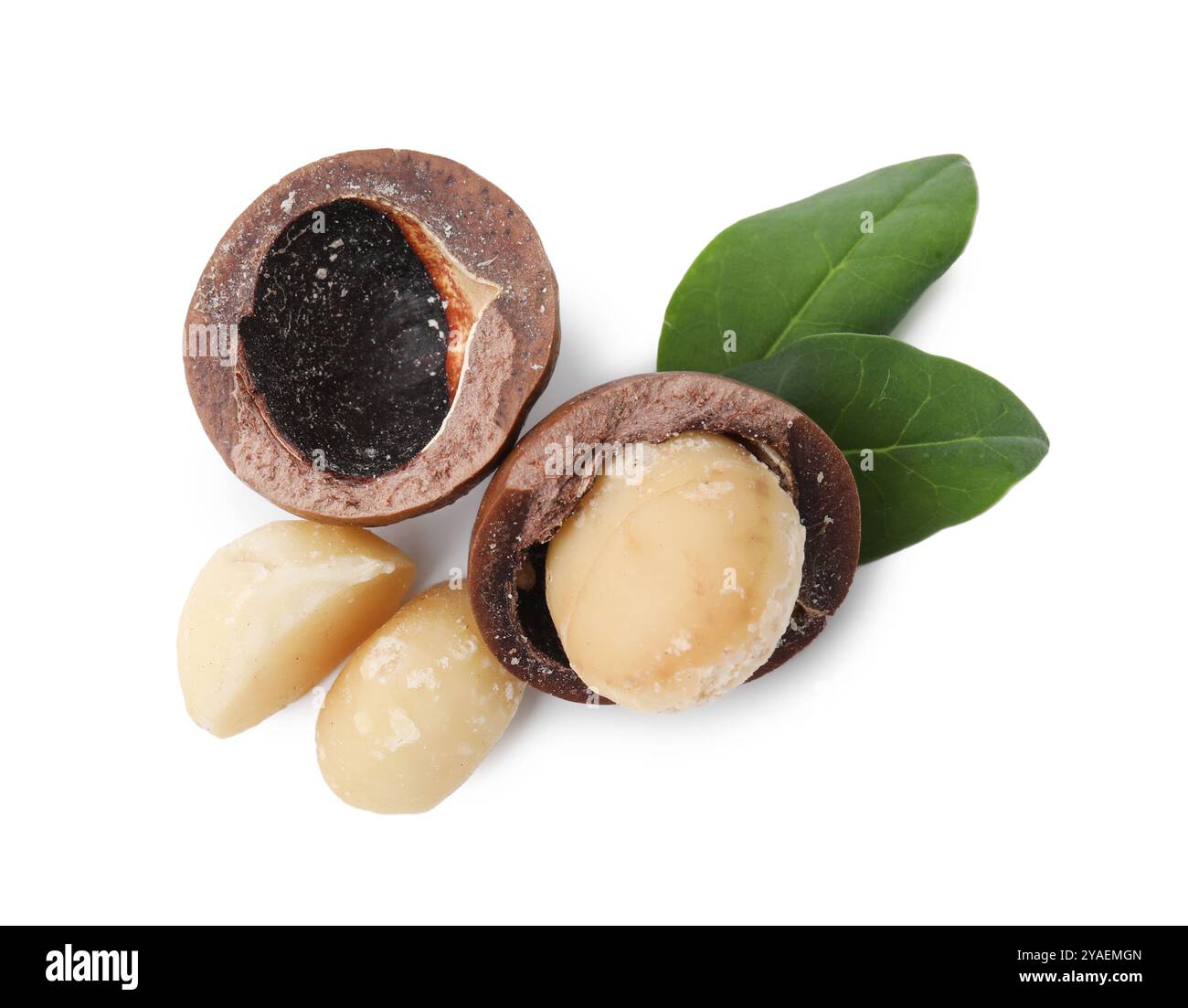 Macadamia nuts with shells isolated on white, top view Stock Photo - Alamy