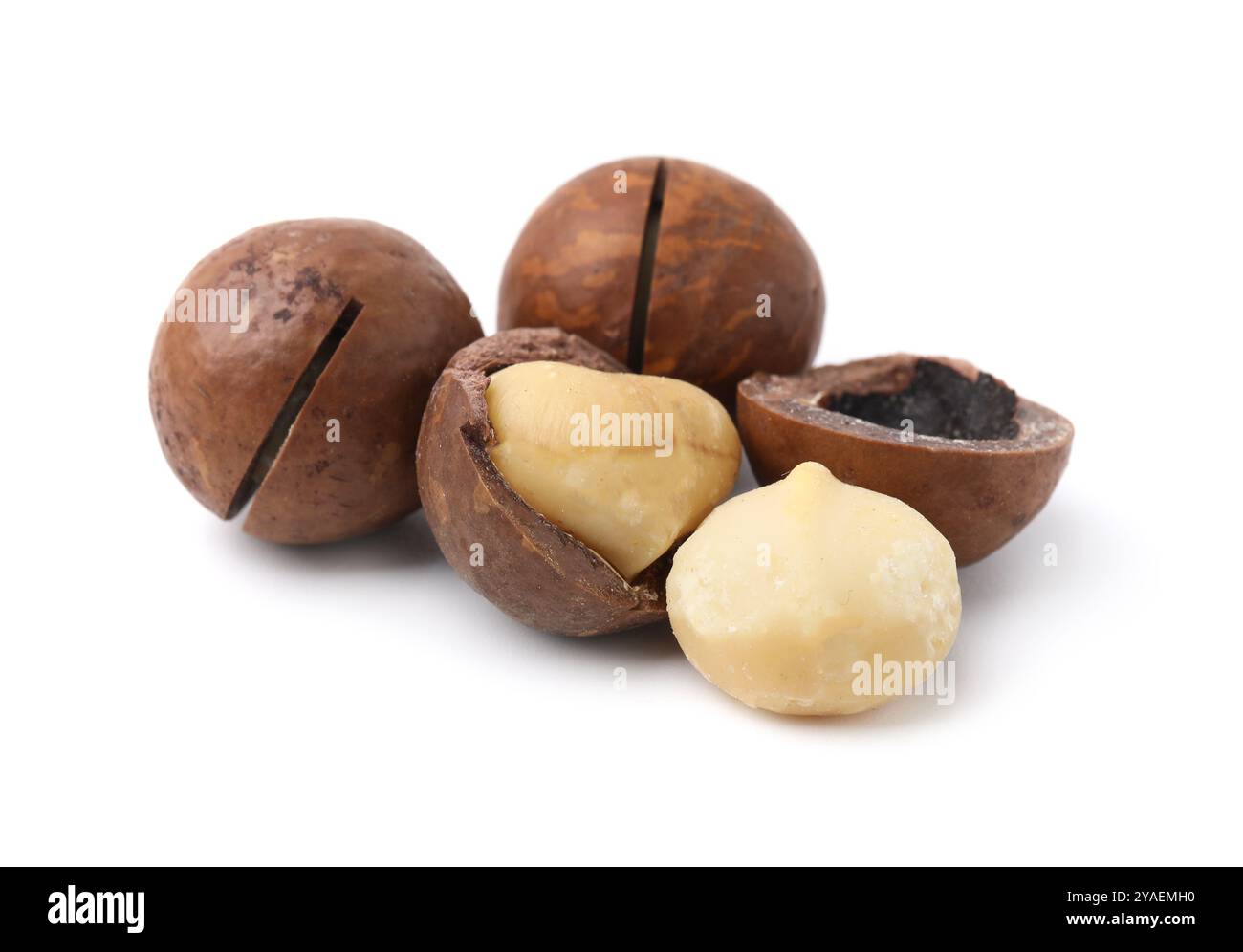 Macadamia nuts with shells isolated on white Stock Photo - Alamy