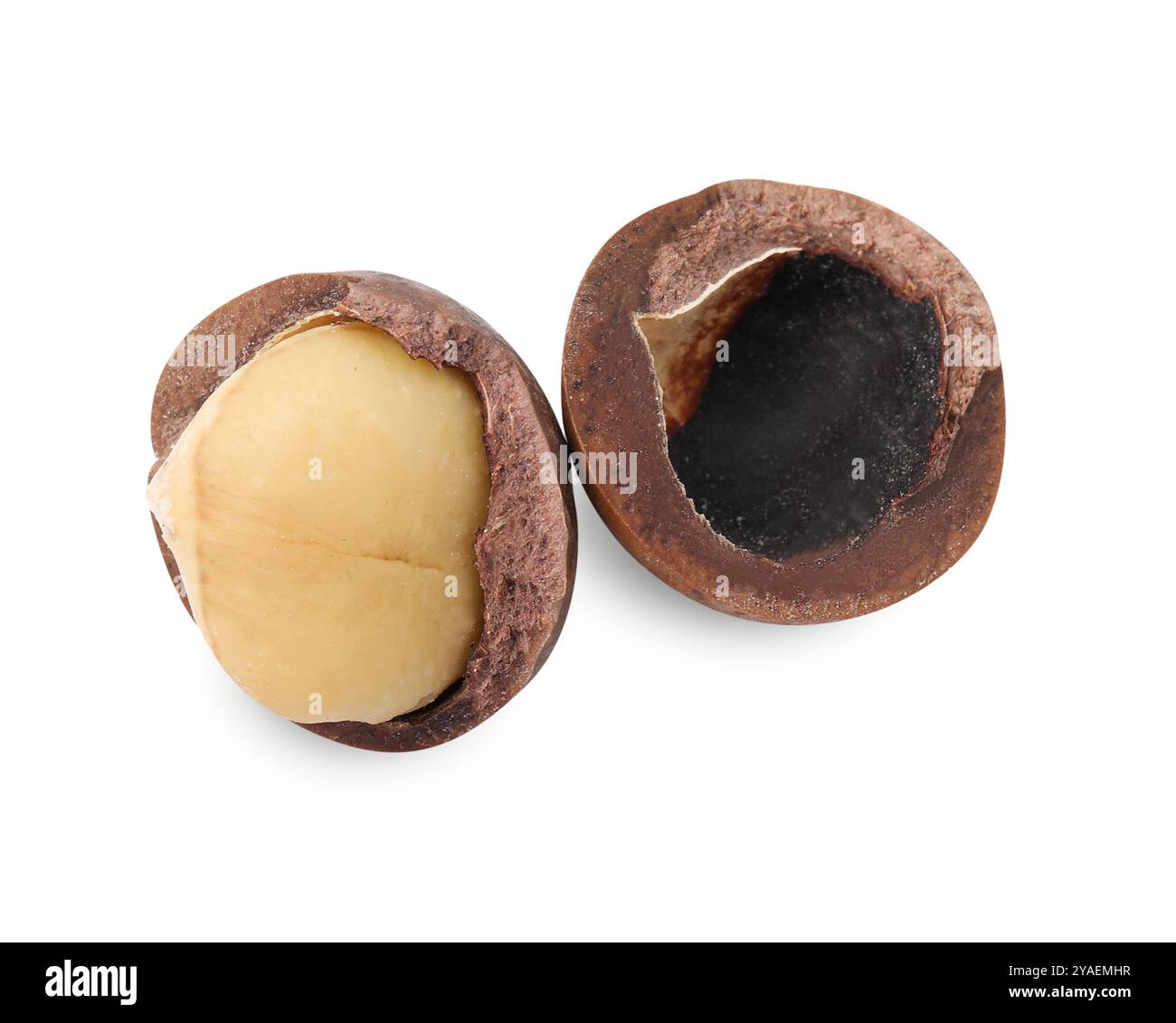 Top view macadamia nut Cut Out Stock Images & Pictures - Alamy