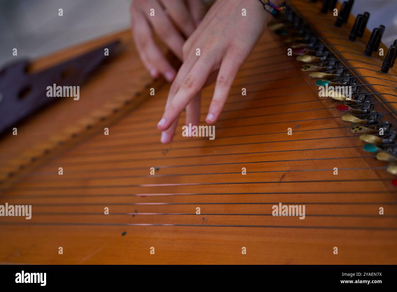 Plucked string instrument hi-res stock photography and images - Alamy