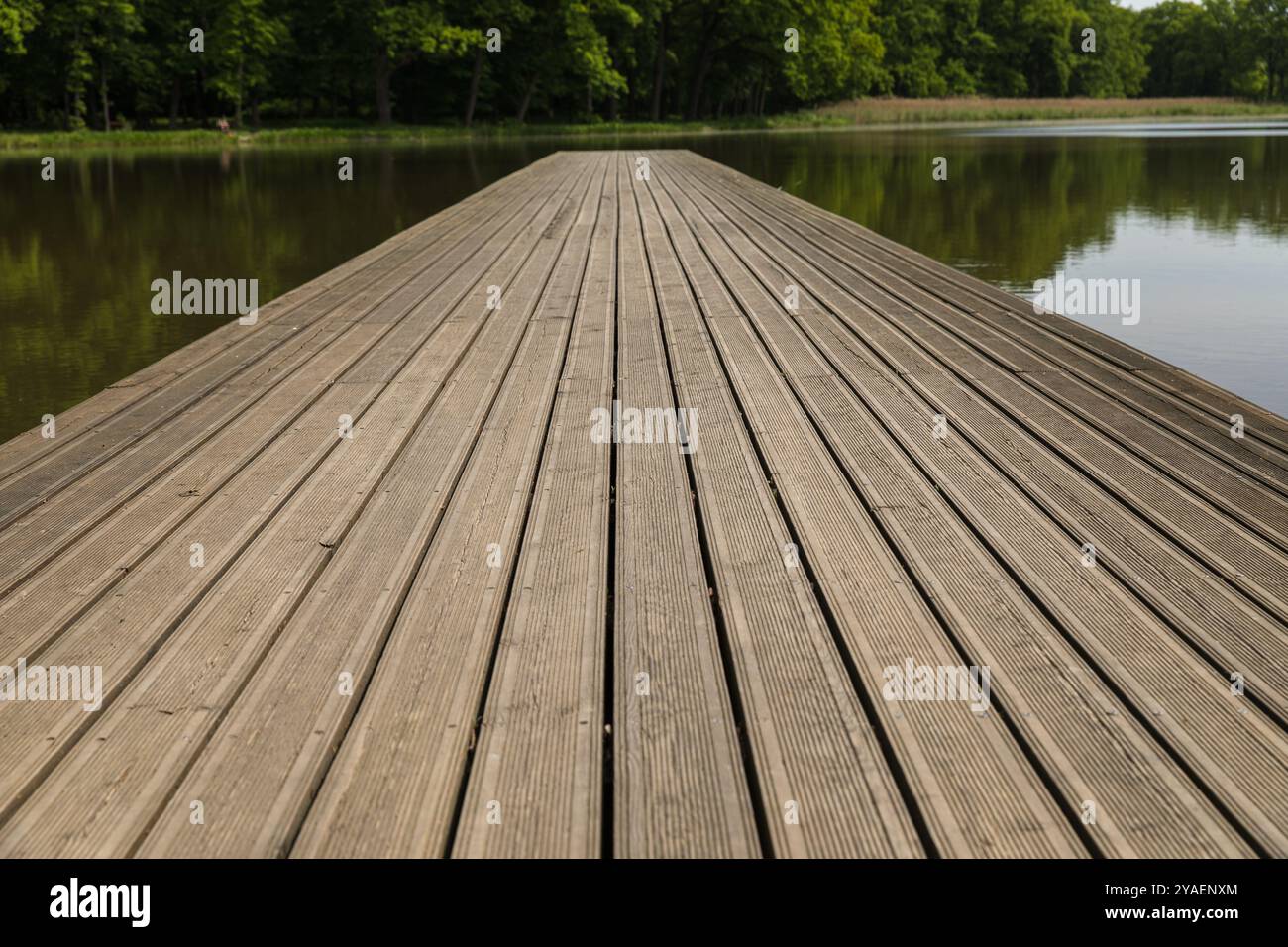 Wooden pier on the lake, symmetrical shot, leading lines made of planks ...
