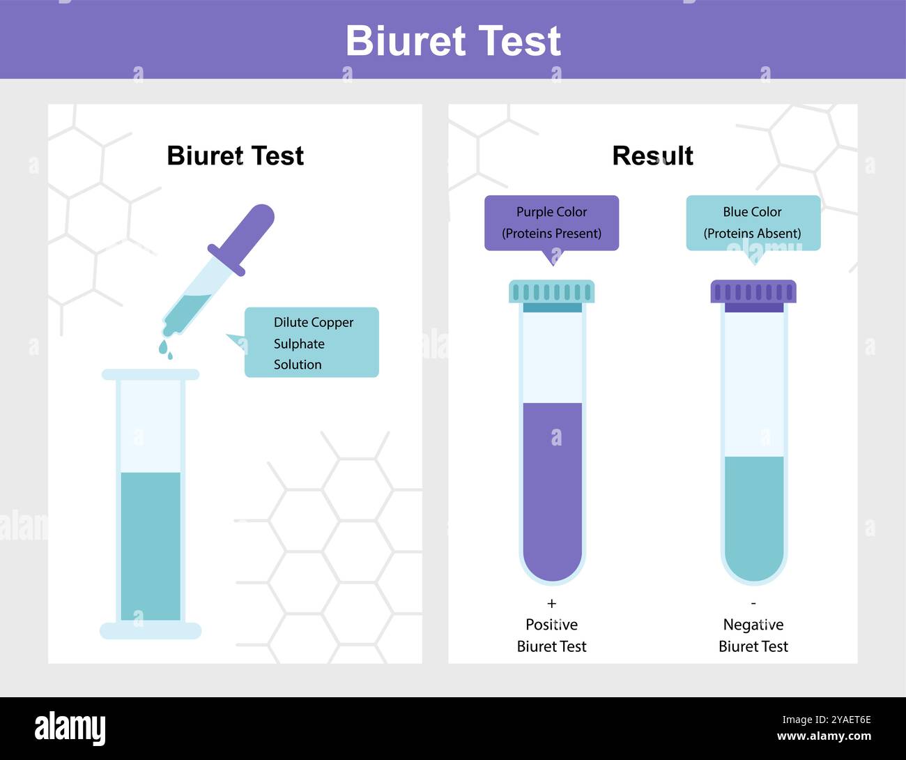 Biuret hi-res stock photography and images - Alamy