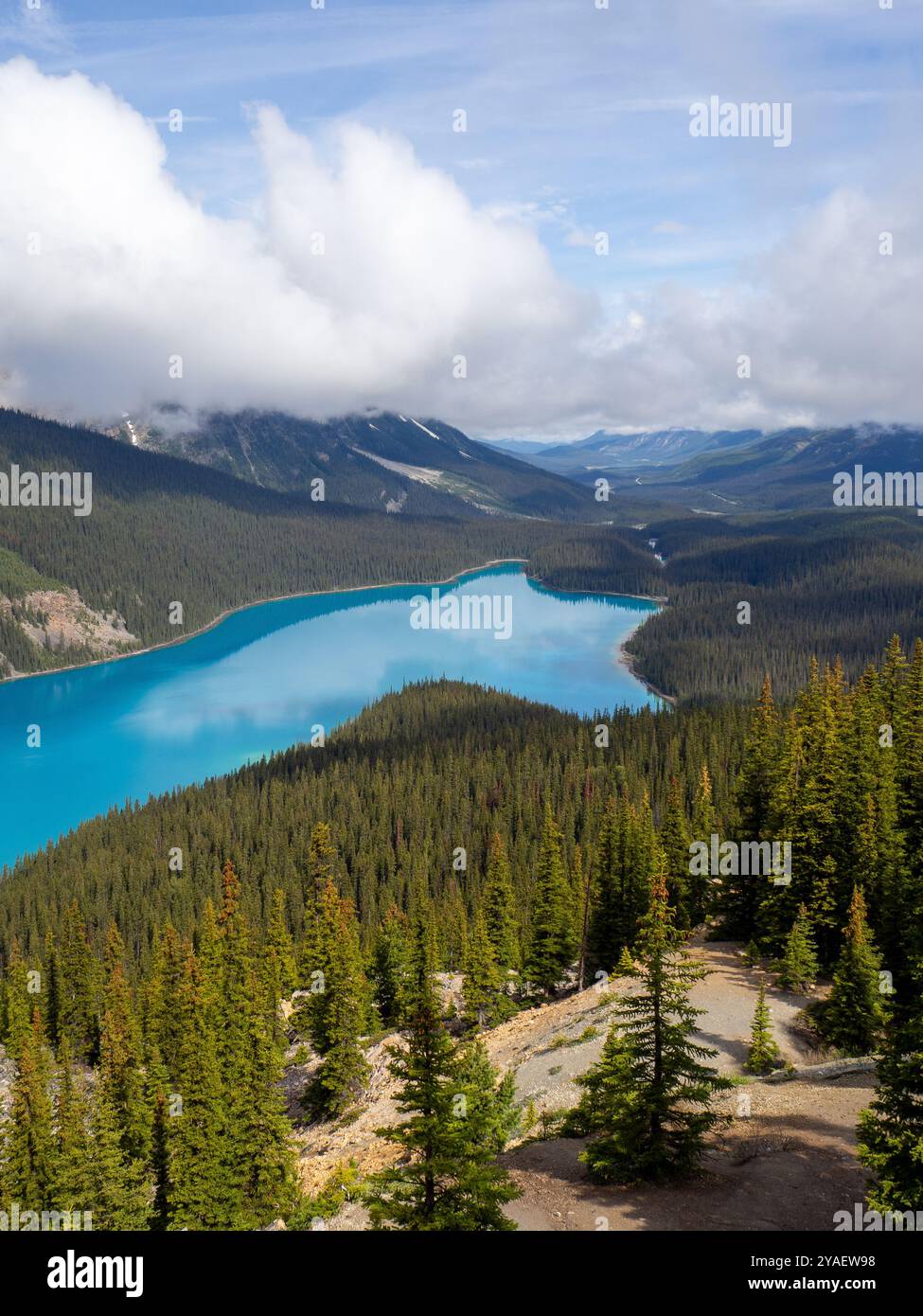 Peyto Glacial Lake, Alberta, Canada Stock Photo - Alamy