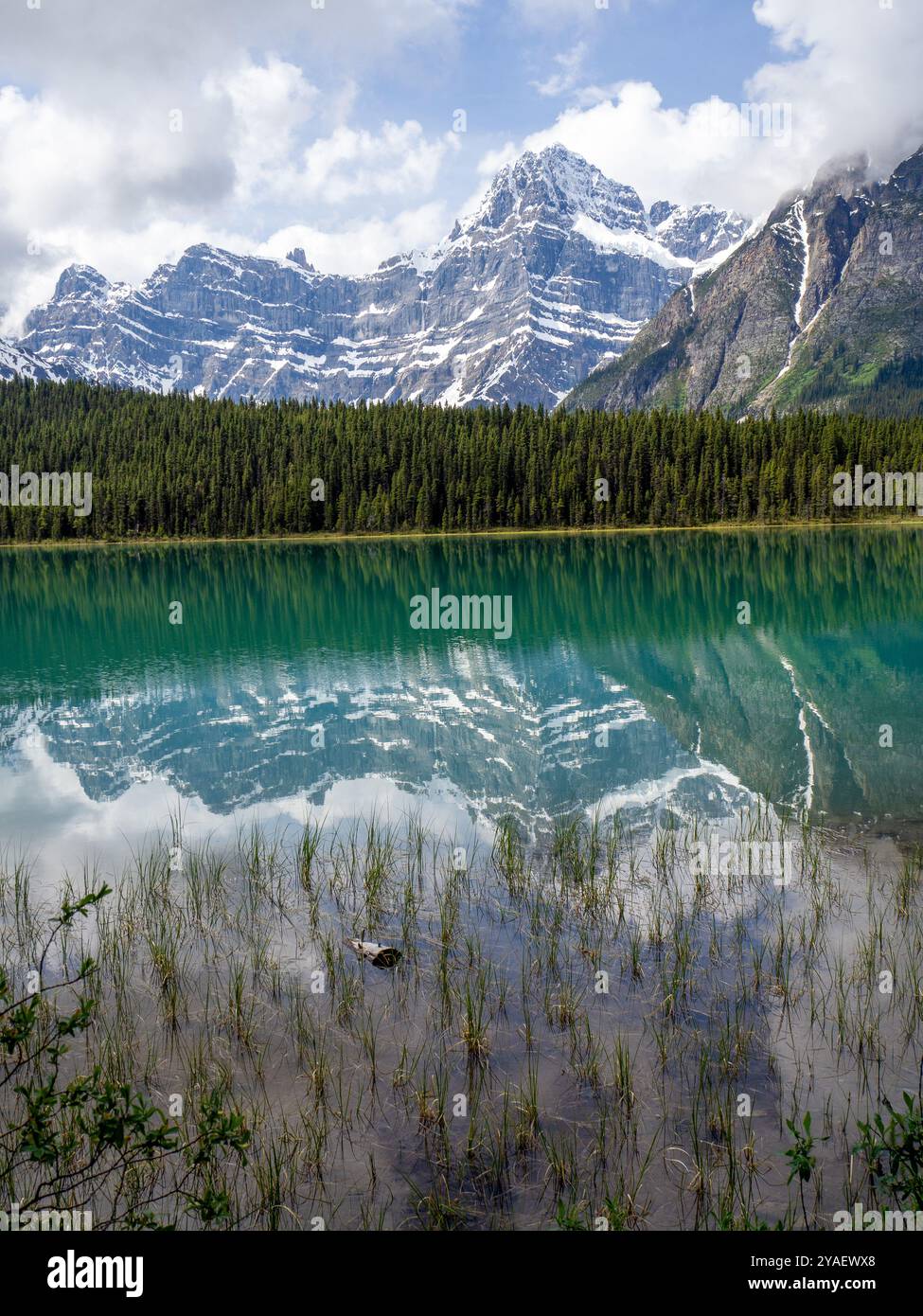 Icefield Parkway, Highway 93, Alberta, Canada Stock Photo - Alamy