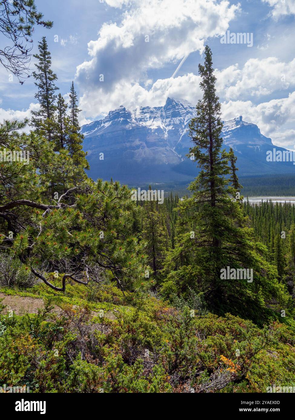 Saskatchewan River Crossing Stock Photo - Alamy