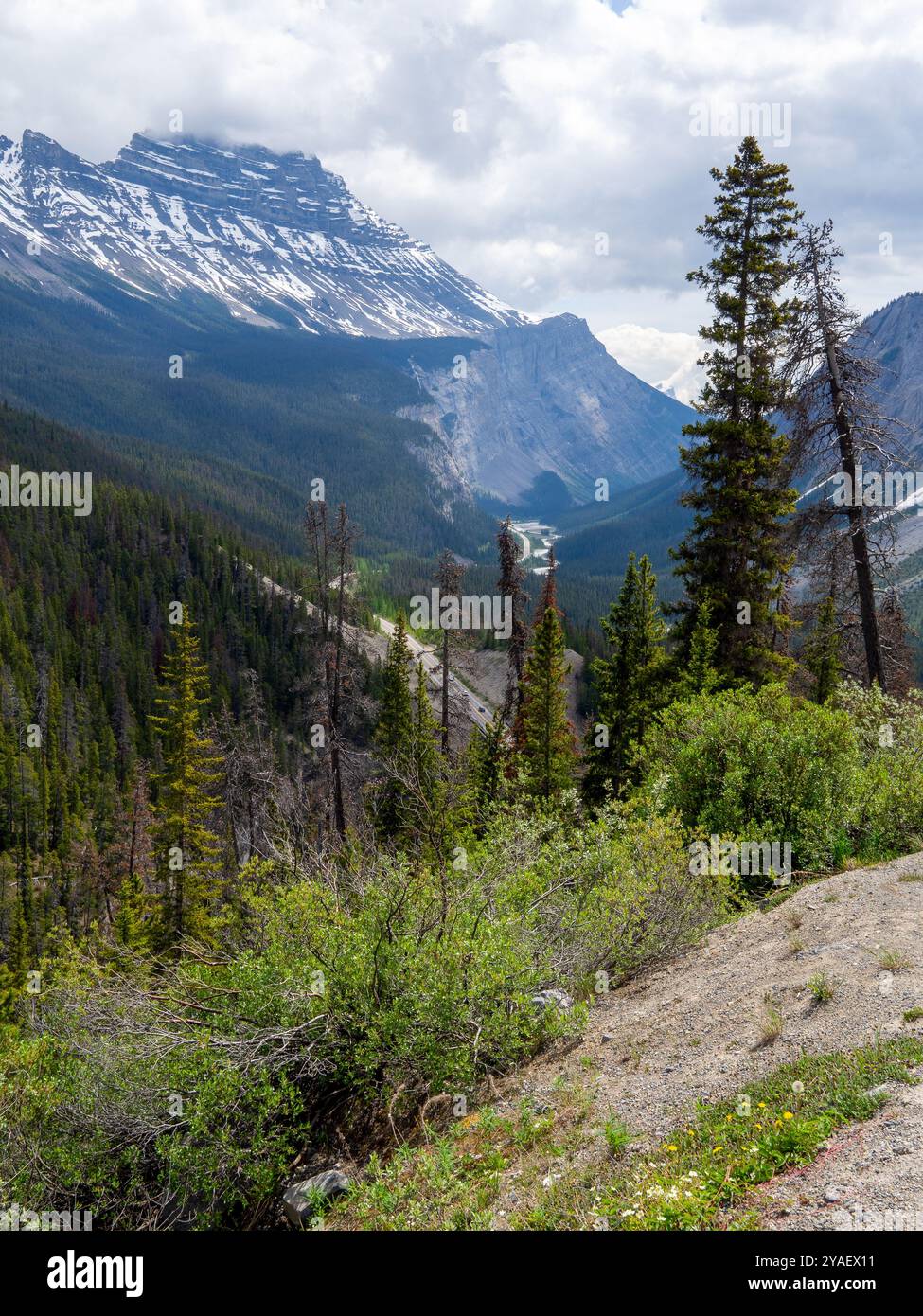 Alberta’s banff national park hi-res stock photography and images - Alamy