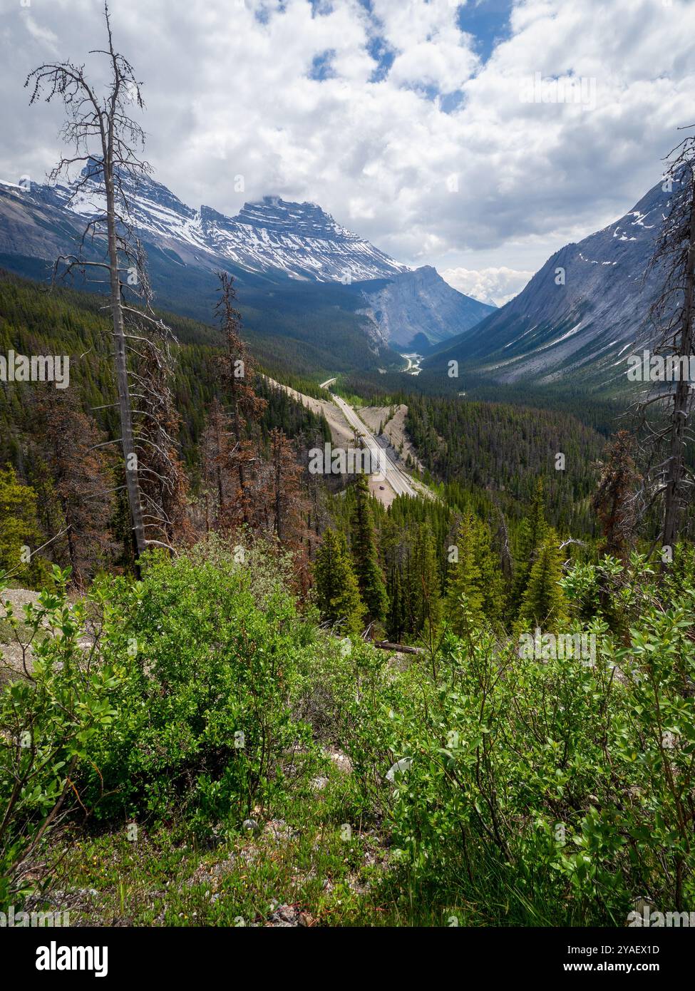 Icefield Parkway, Highway 93, Alberta, Canada Stock Photo - Alamy