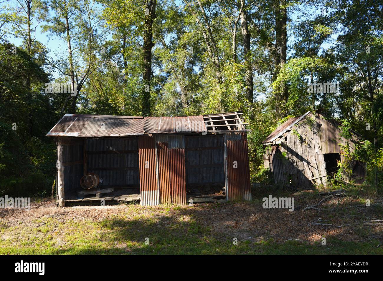 Old Shed Wood Cotton