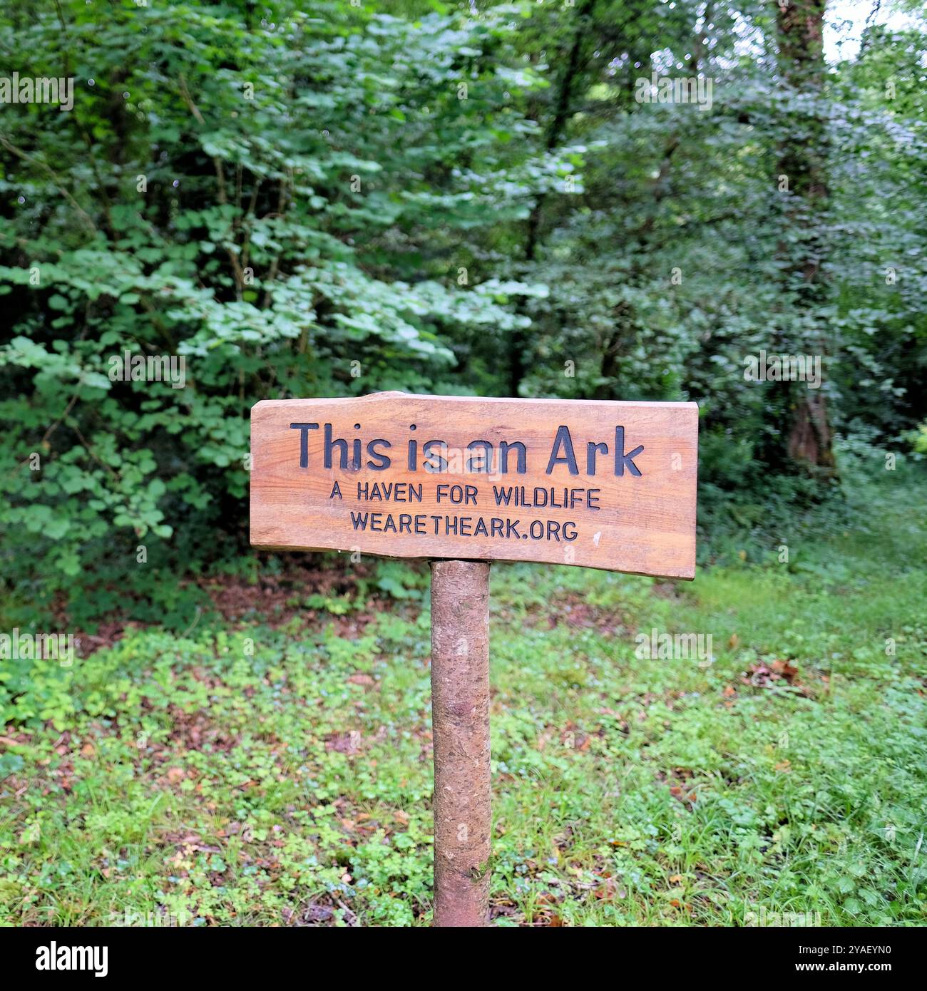 We Are The Ark sign at Ashford Estate, Cong, County Mayo, Ireland ...