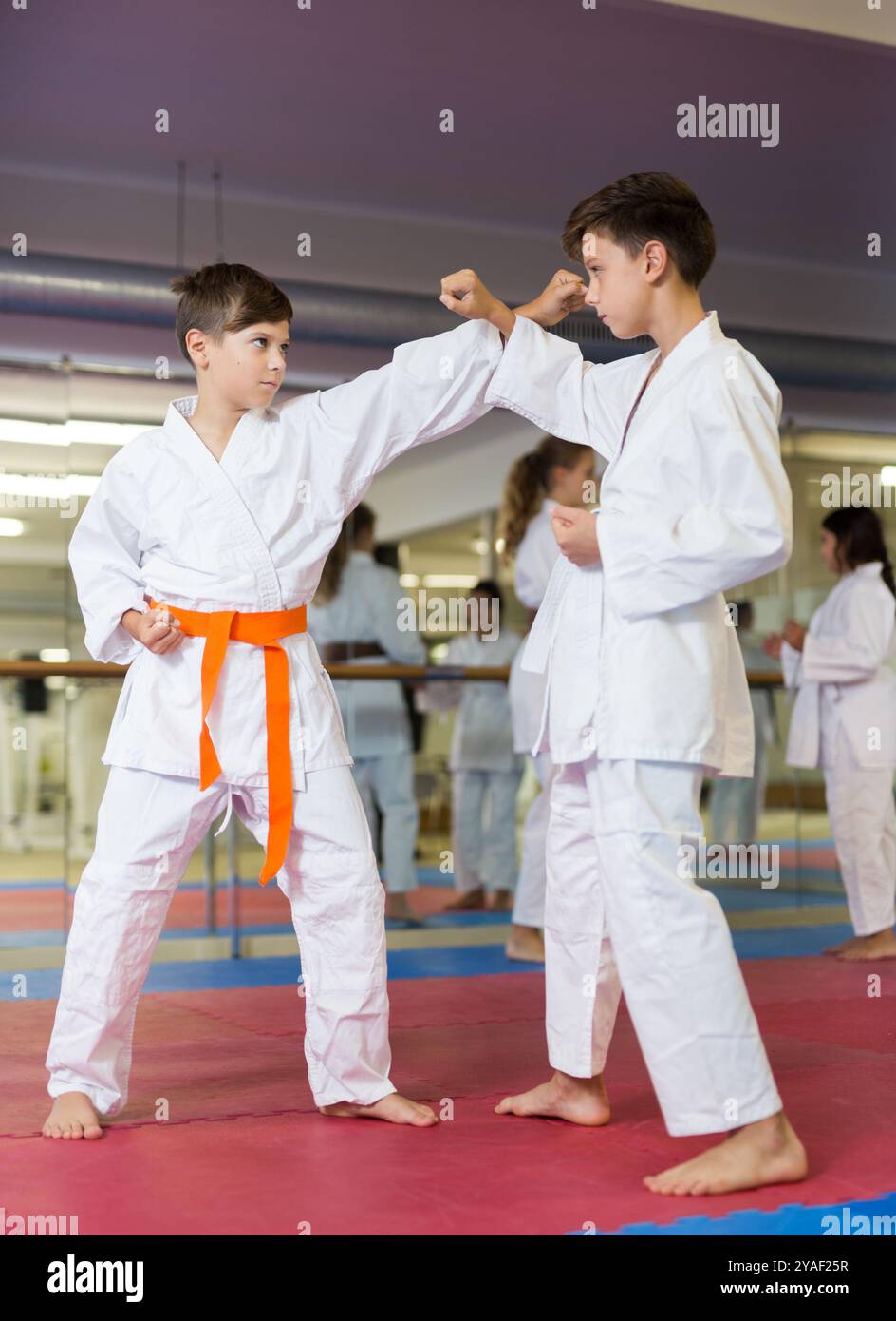 Kids sparring during karate training Stock Photo - Alamy