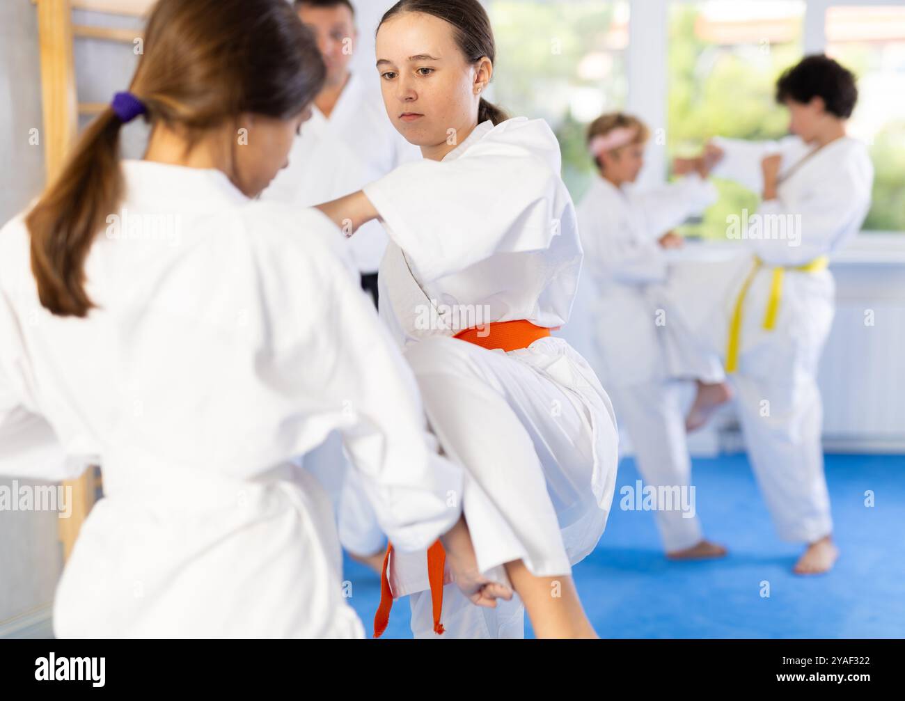 Young pupils train to perform defensive karate installations and ...