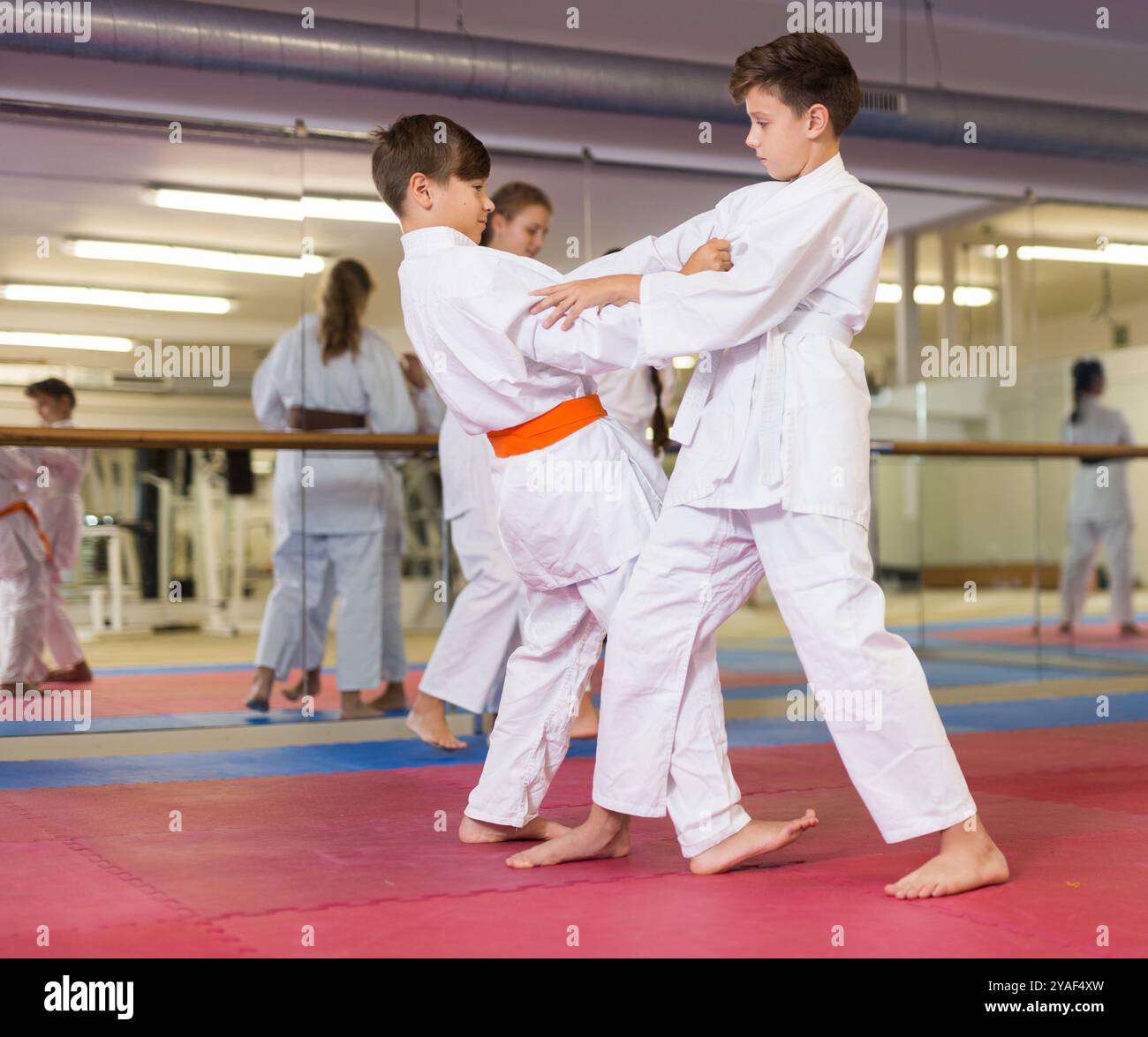 Teenager boys practicing new karate moves Stock Photo - Alamy