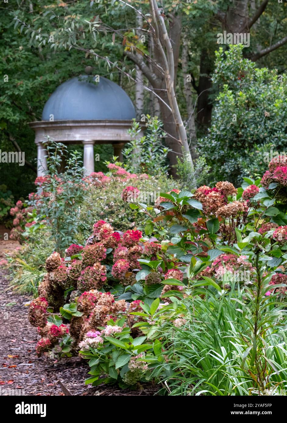Stunning deep autumn colours on display at Wisley garden, Woking ...