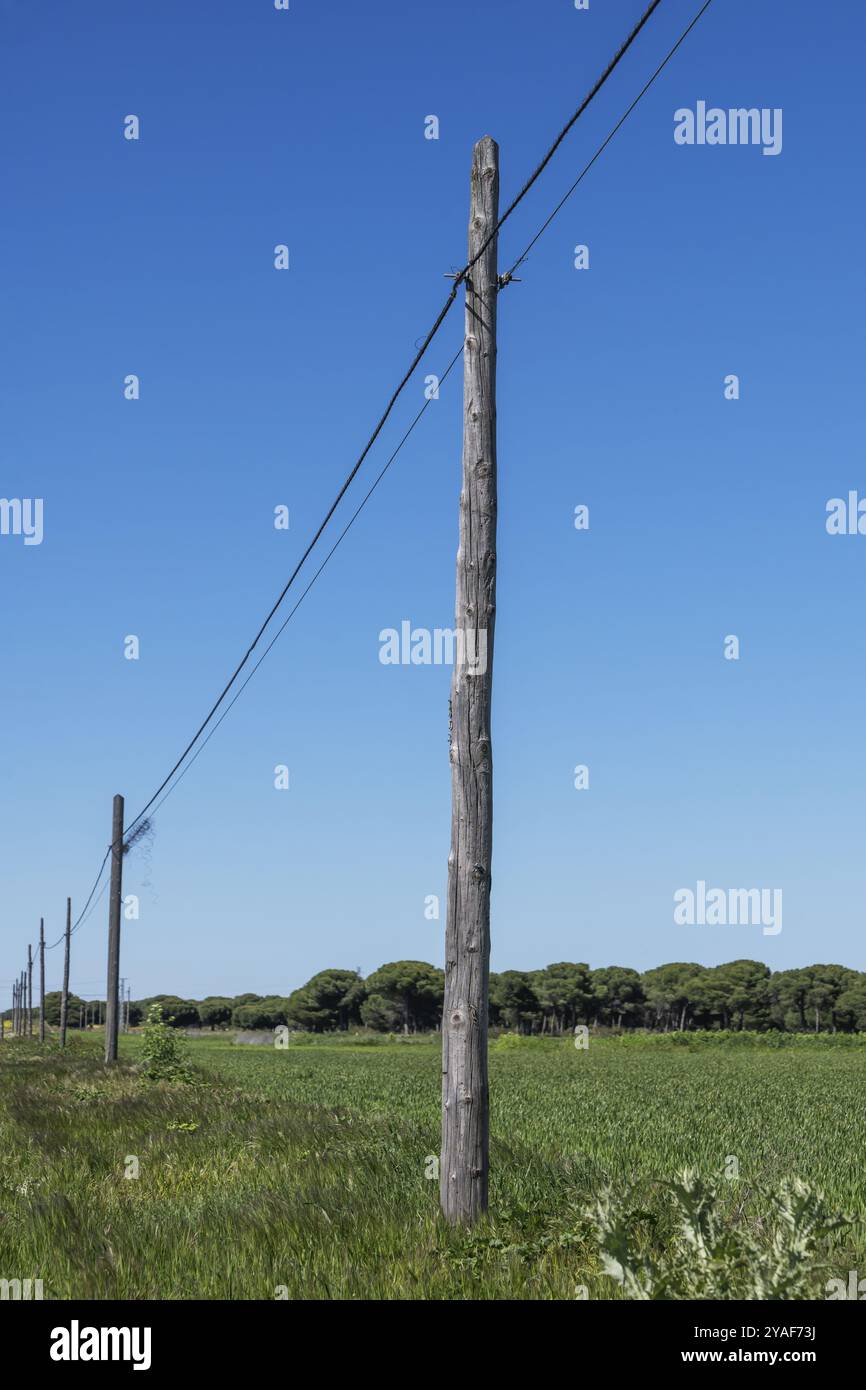 Cable support towers hi-res stock photography and images - Alamy