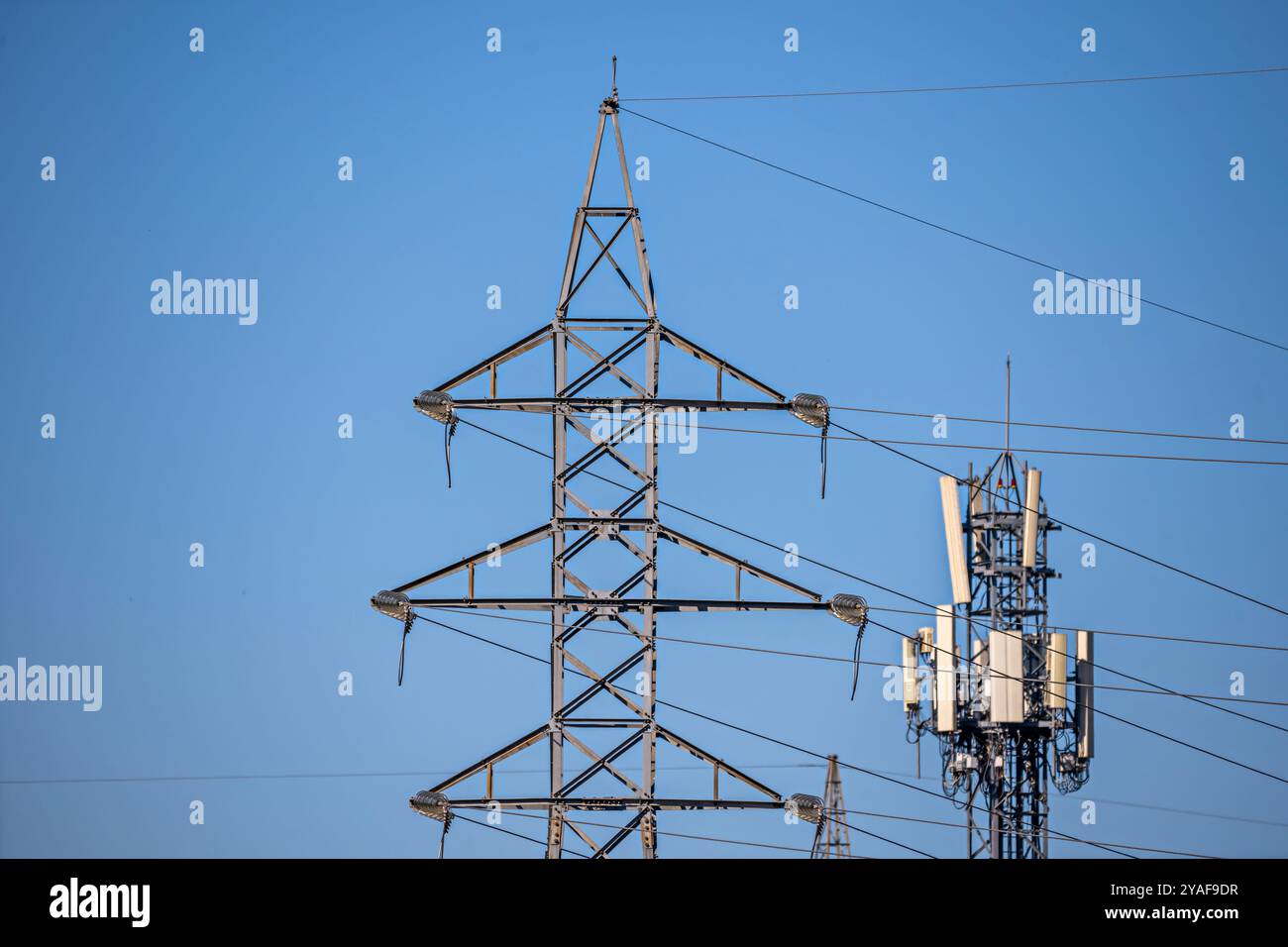 These structures are fundamental elements in the transmission of ...