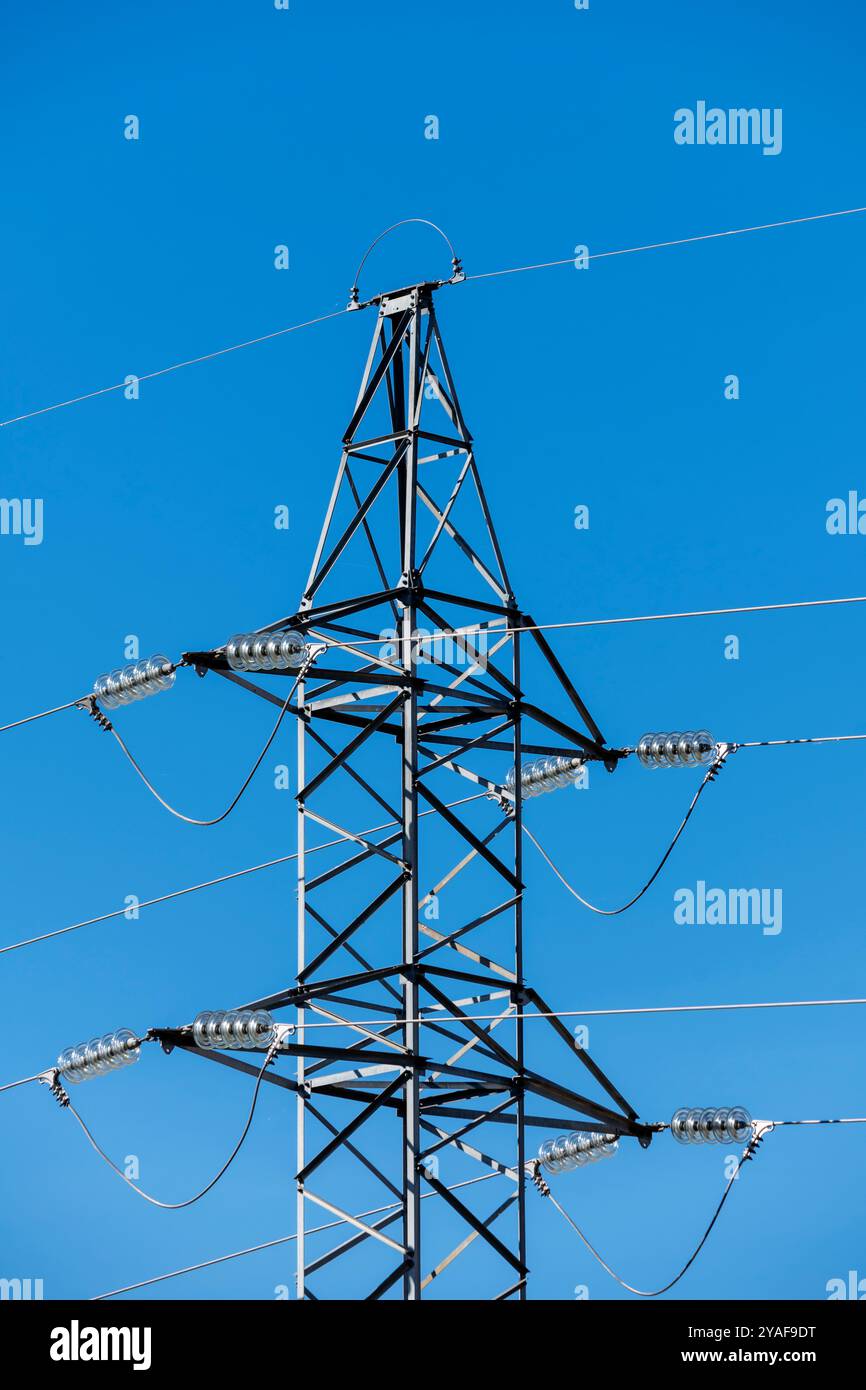 These structures are fundamental elements in the transmission of ...