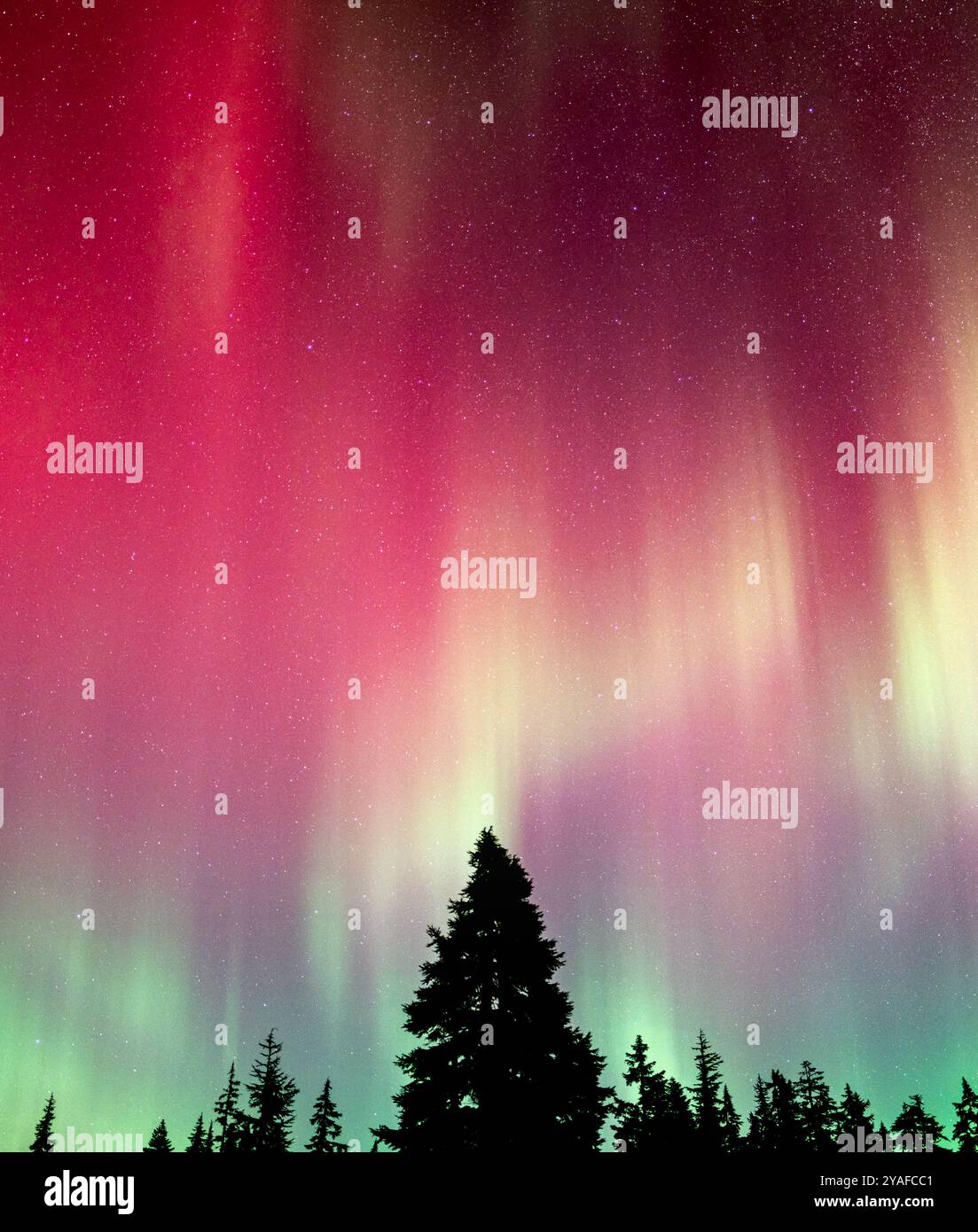 aurora borealis in the north cascades during the 10-10-2024 solar storm ...