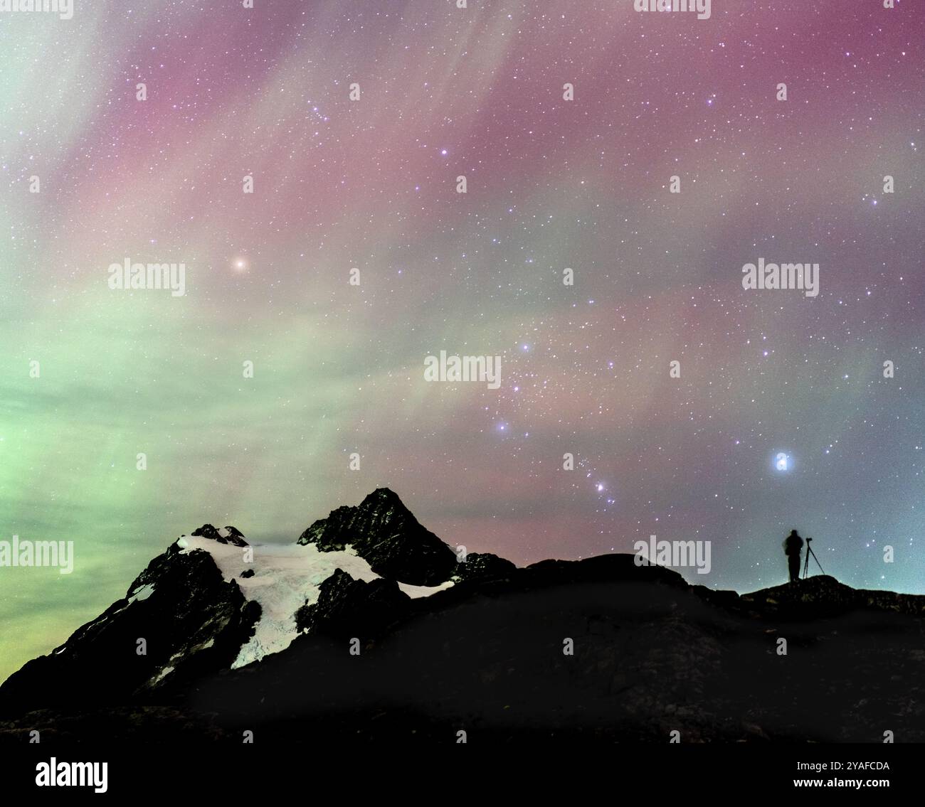 Aurora aksnes zodiac sign 60 photos - Astrologytoyou.com