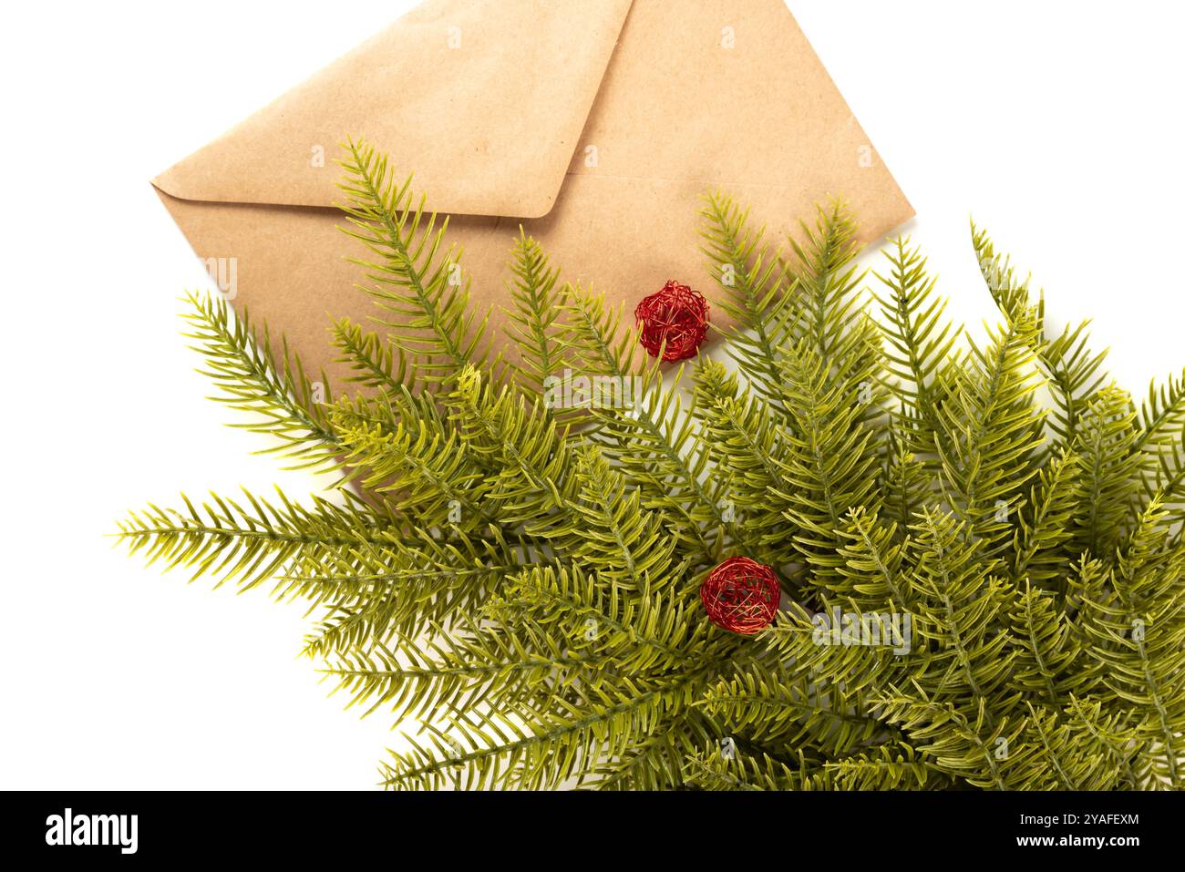 Pine tree branch envelope hi-res stock photography and images - Alamy