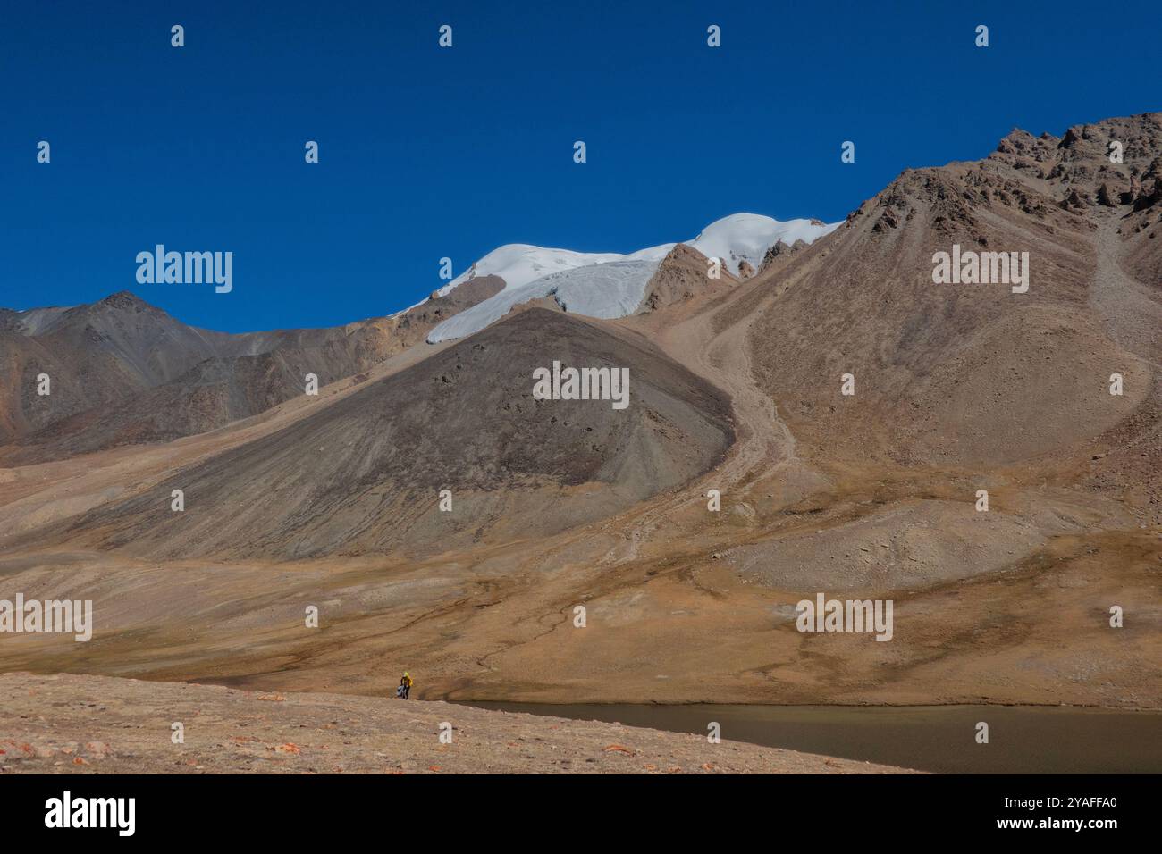 Surreal scenery in the high meadows of Shimshal Pass, Shimshal, Gojal ...