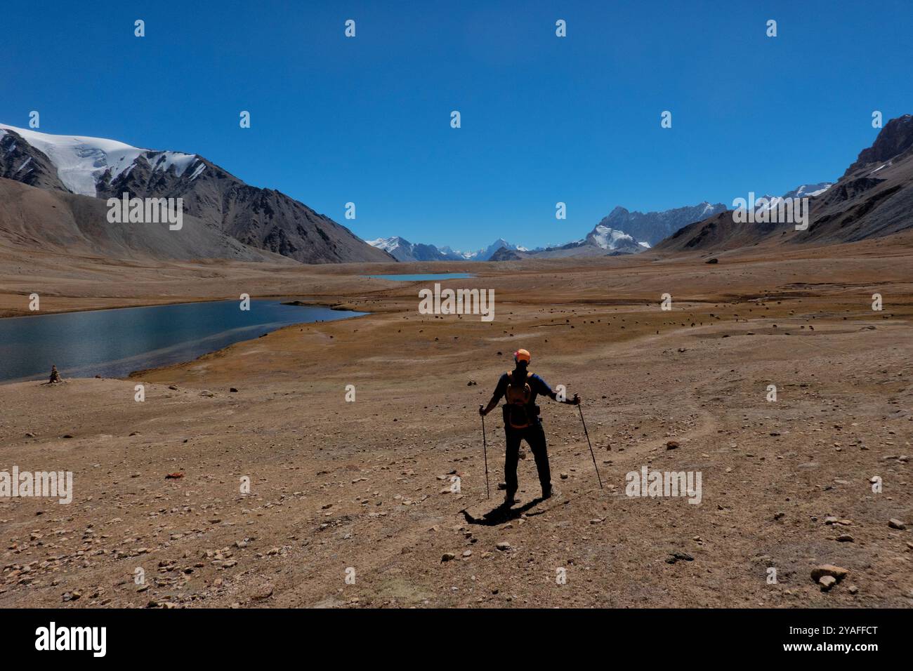 Surreal scenery in the high meadows of Shimshal Pass, Shimshal, Gojal ...