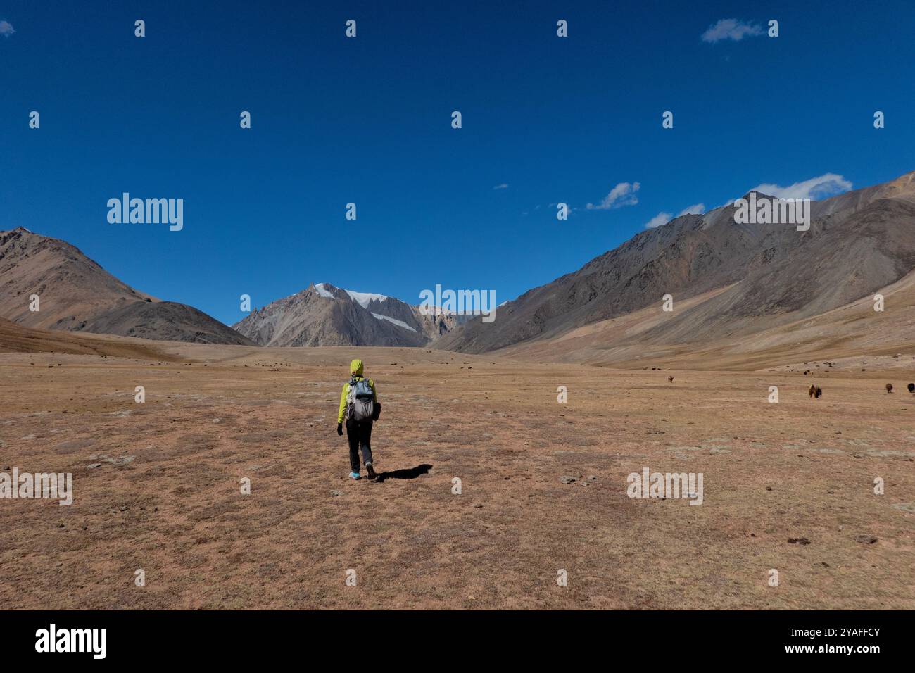 Surreal scenery in the high meadows of Shimshal Pass, Shimshal, Gojal ...