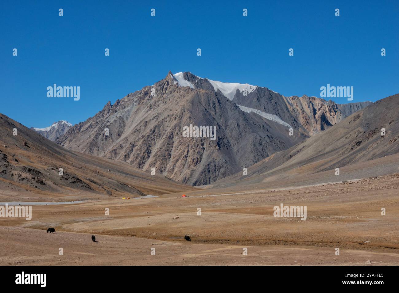 Surreal scenery in the high meadows of Shimshal Pass, Shimshal, Gojal ...