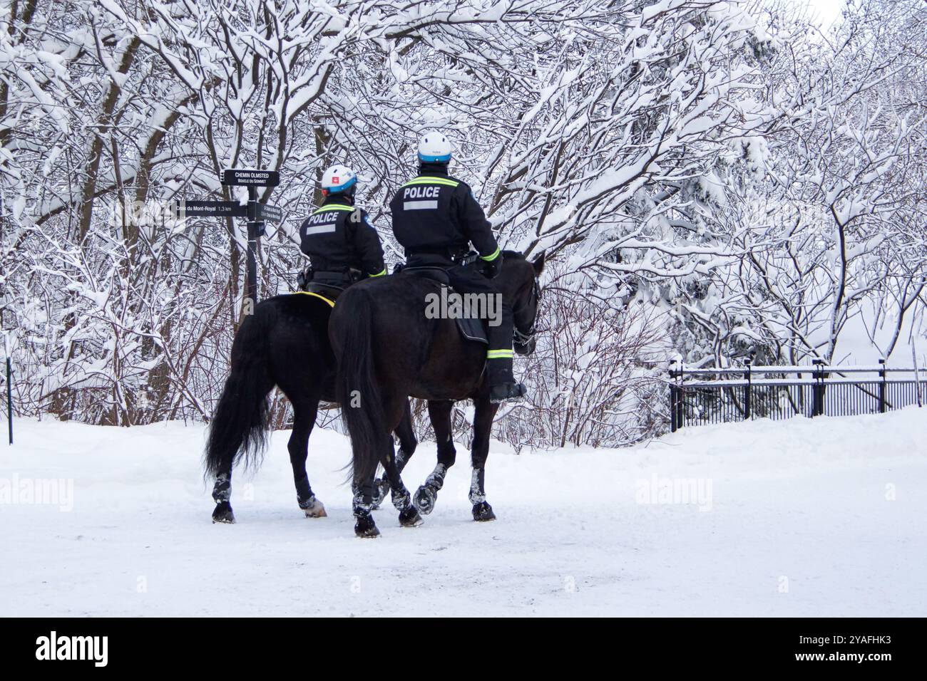 Royal canadian mounted police officers hi-res stock photography and ...