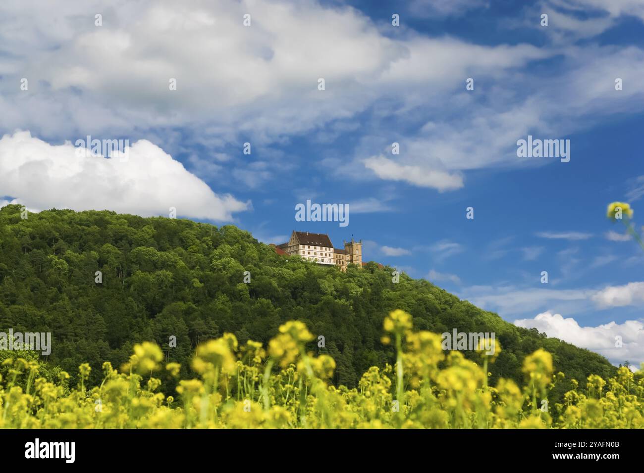 Weitenburg Castle, romantic hotel, historic building, residential ...