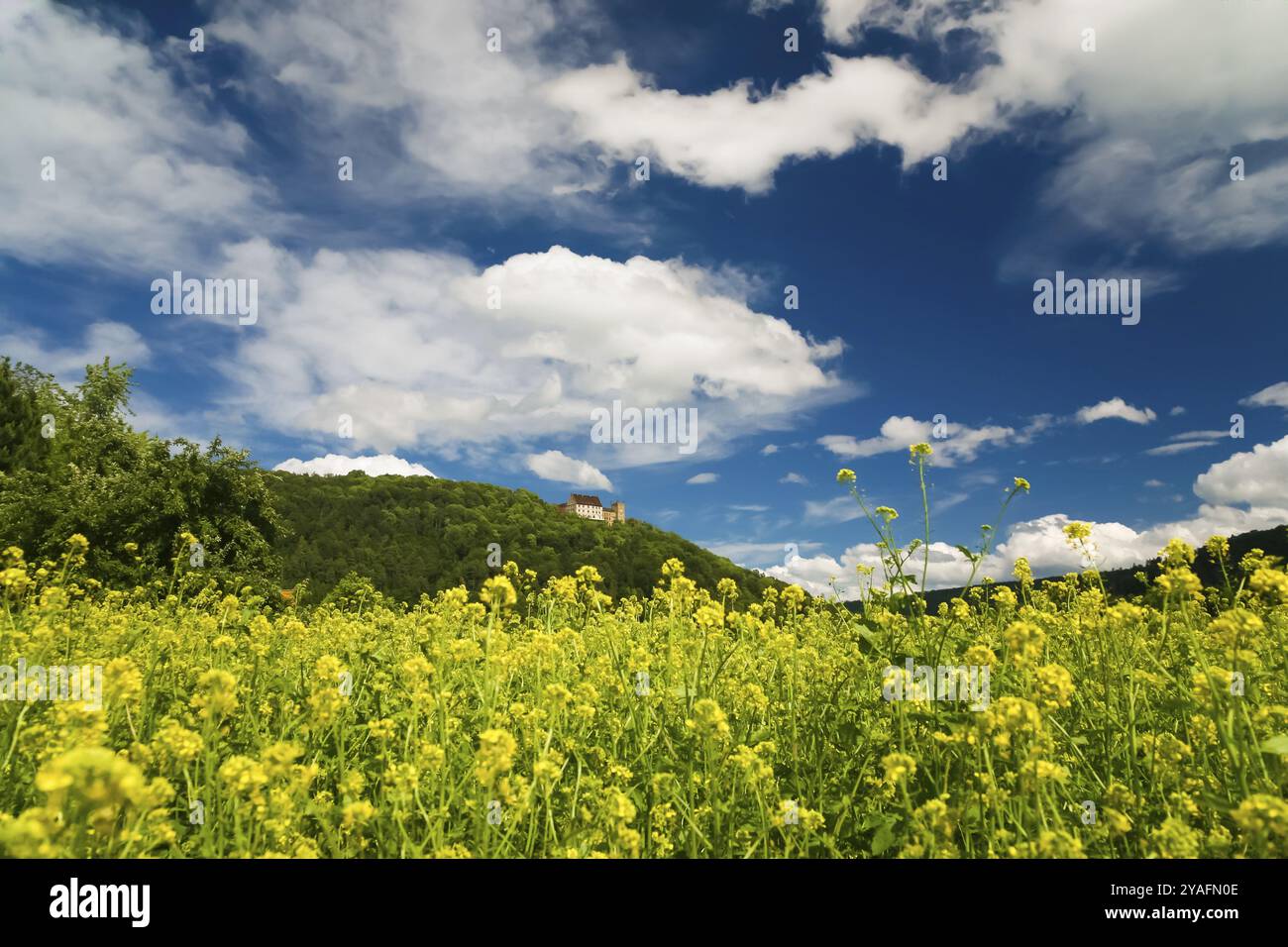 Weitenburg Castle, romantic hotel, historic building, residential ...