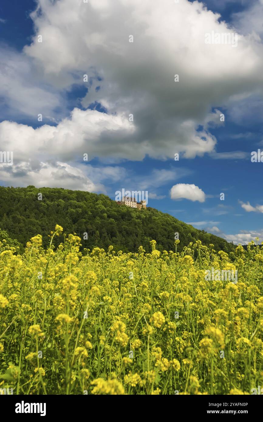 Weitenburg Castle, romantic hotel, historic building, residential ...