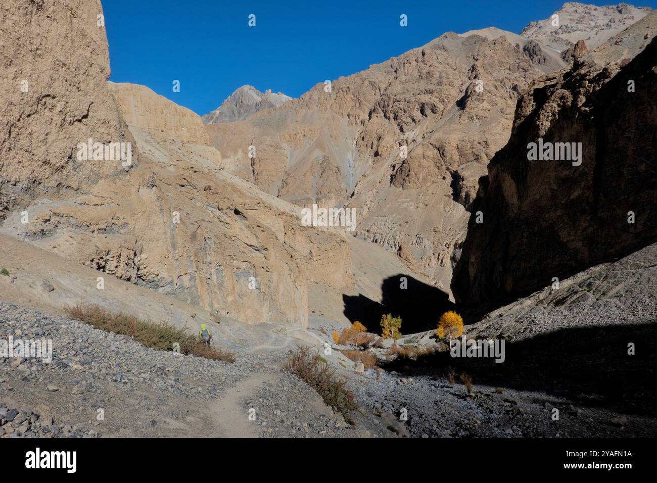 Fall colors on the Shimshal Pass trek, Shimshal, Gojal, Pakistan Stock ...