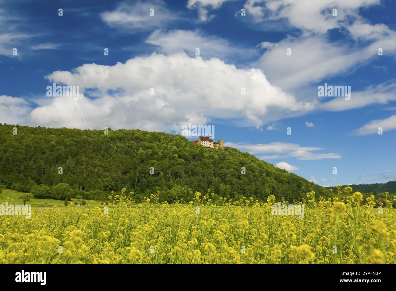 Weitenburg Castle, romantic hotel, historic building, residential ...