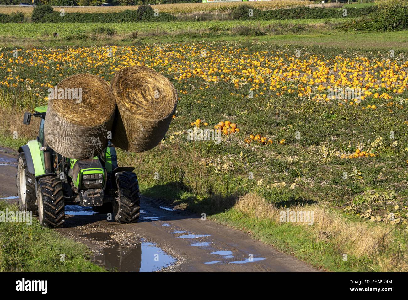 Farming tractor transporting straw rolls hi-res stock photography and ...