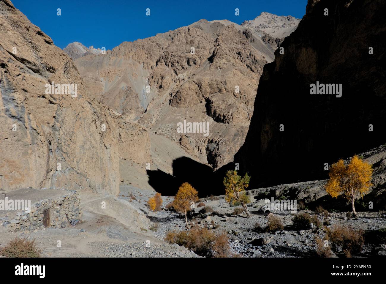 Fall colors on the Shimshal Pass trek, Shimshal, Gojal, Pakistan Stock ...