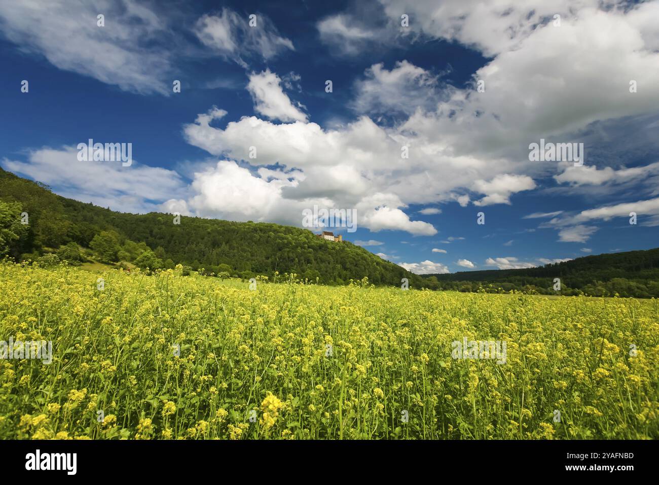 Weitenburg Castle, romantic hotel, historic building, residential ...