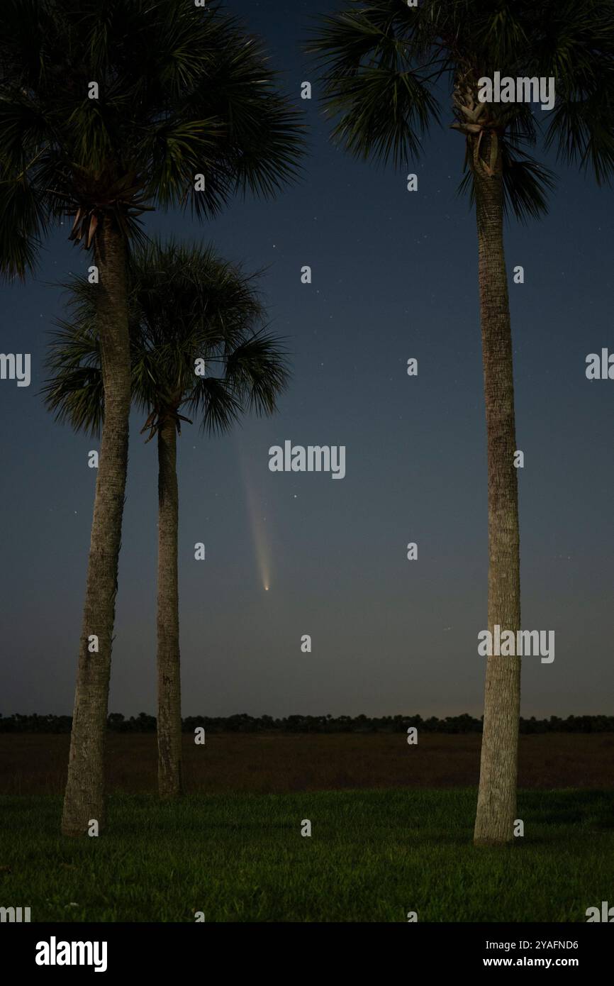 Comet Tsuchinshan-ATLAS, also known as C/2023 A3, appears in the skies ...