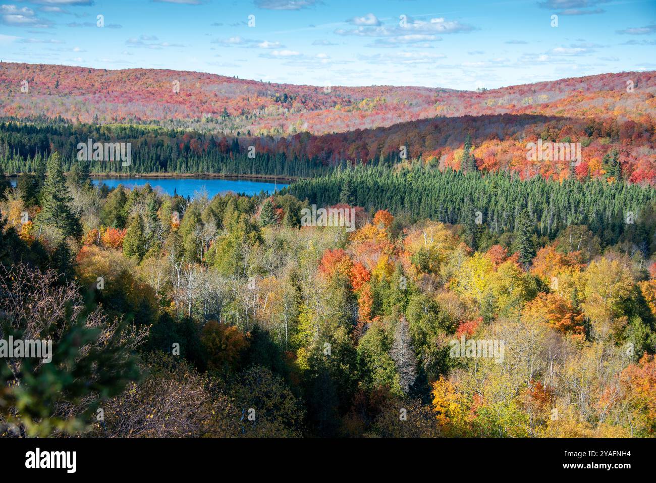 Gorgeous Autumn Colors on Minnesota's North Shore, Oberg Lake from ...