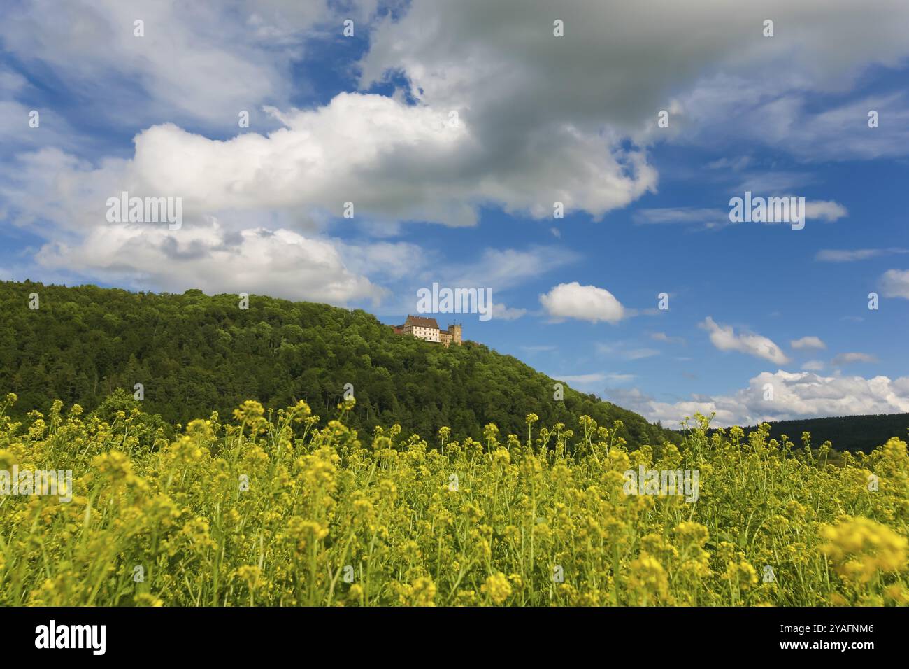 Weitenburg Castle, romantic hotel, historic building, residential ...