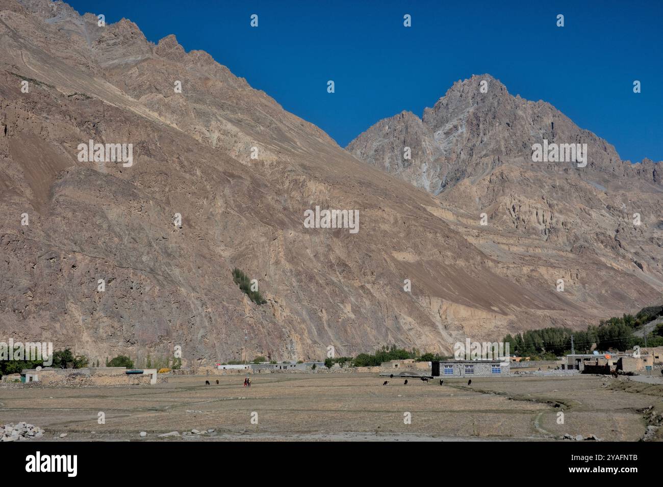 Traditional homes in the remote Shimshal Valley, Shimshal, Gojal ...