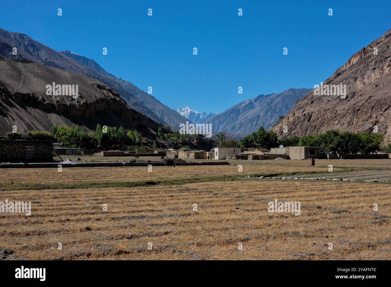 Traditional homes in the remote Shimshal Valley, Shimshal, Gojal ...