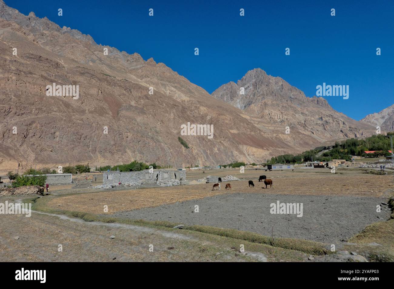 Traditional homes in the remote Shimshal Valley, Shimshal, Gojal ...