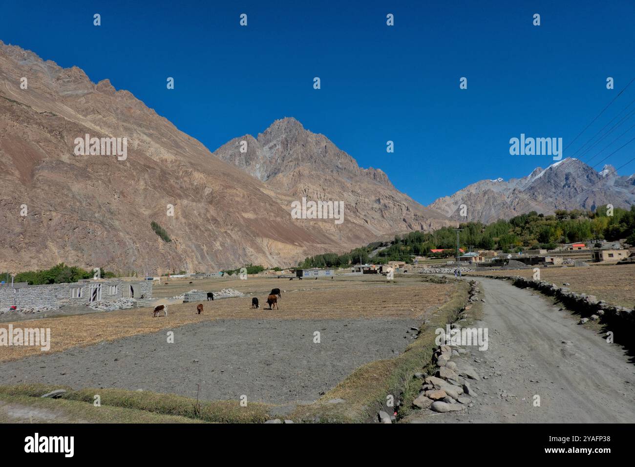 Traditional homes in the remote Shimshal Valley, Shimshal, Gojal ...