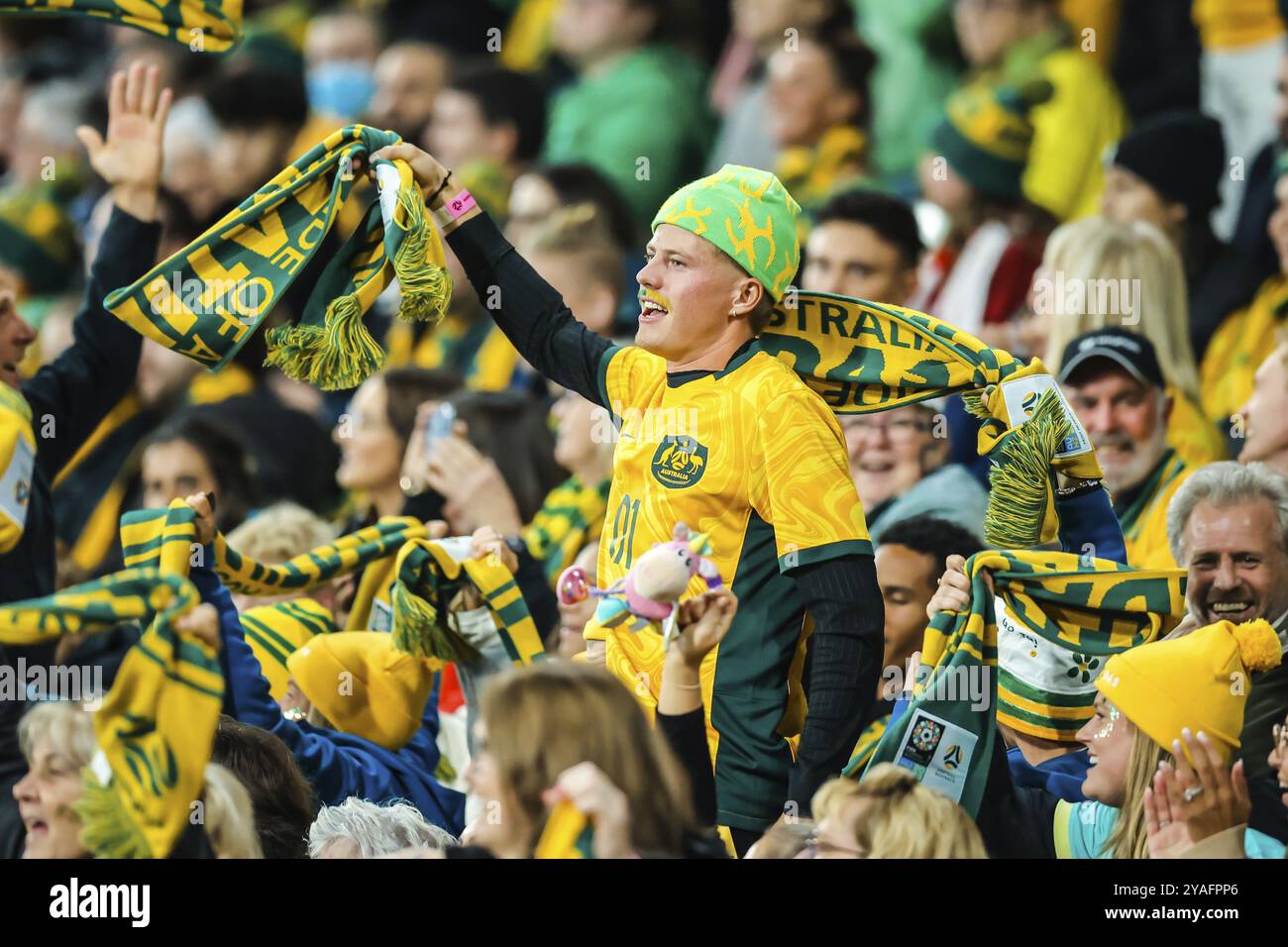 Female fans womens world cup hi-res stock photography and images - Alamy