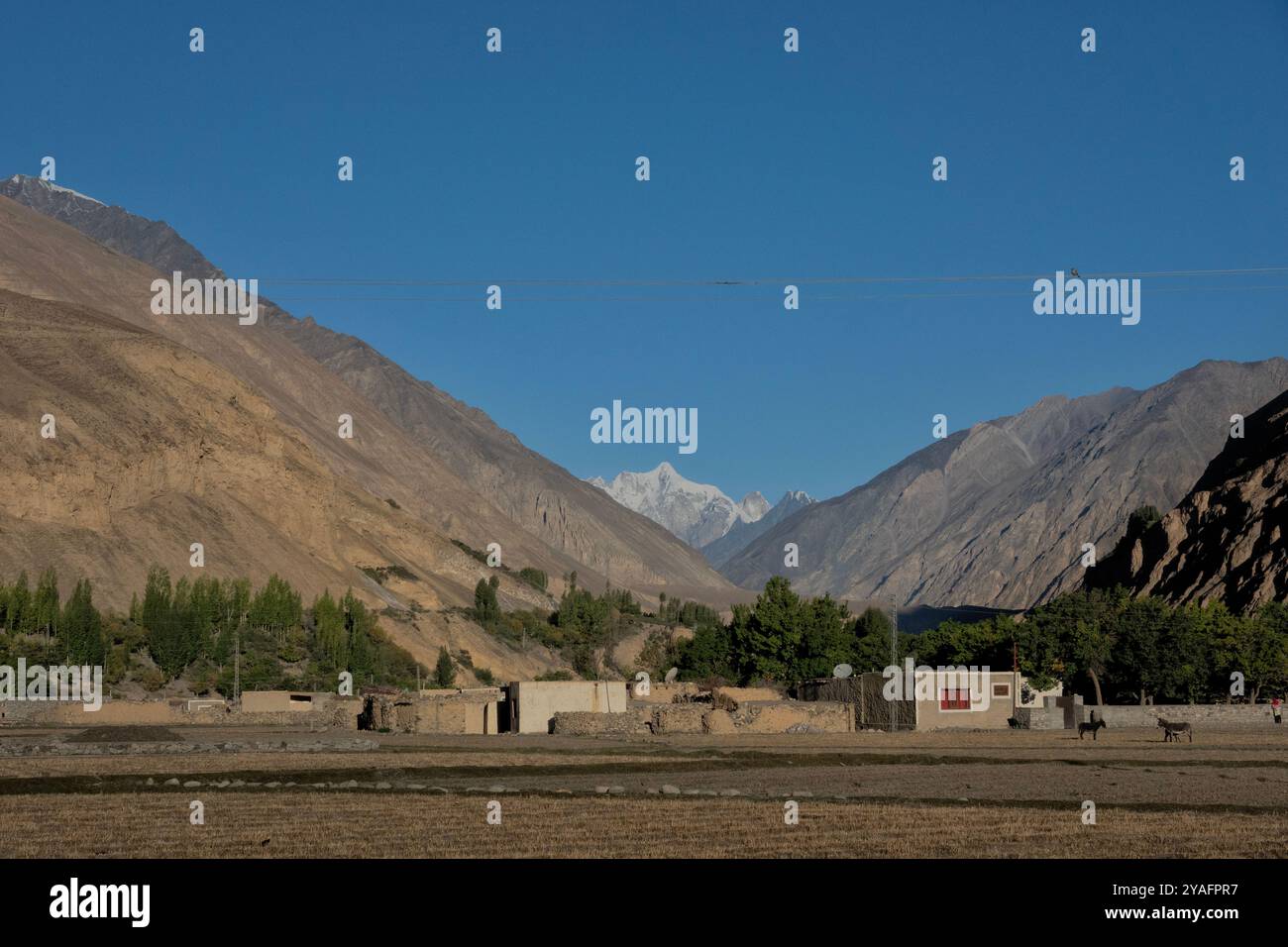 Traditional homes and wheat fields in the remote Shimshal Valley ...