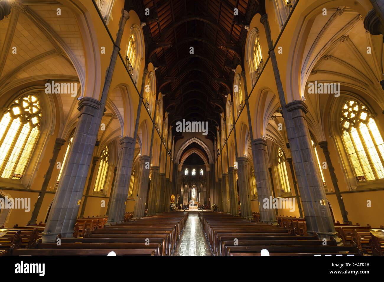 MELBOURNE, AUSTRALIA, MAY 21, 2022: The iconic interior of St. Patrick ...