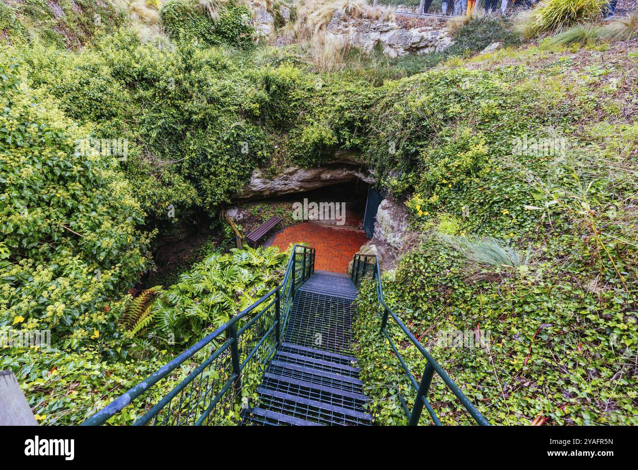 The iconic and popular Engelbrecht Cave system which is a sinkhole ...